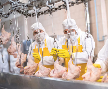 Poultry International - February 2020 Top 11 European poultry producers