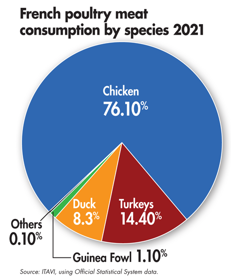 Poultry International - November 2022 The top 10 egg producers in Latin ...